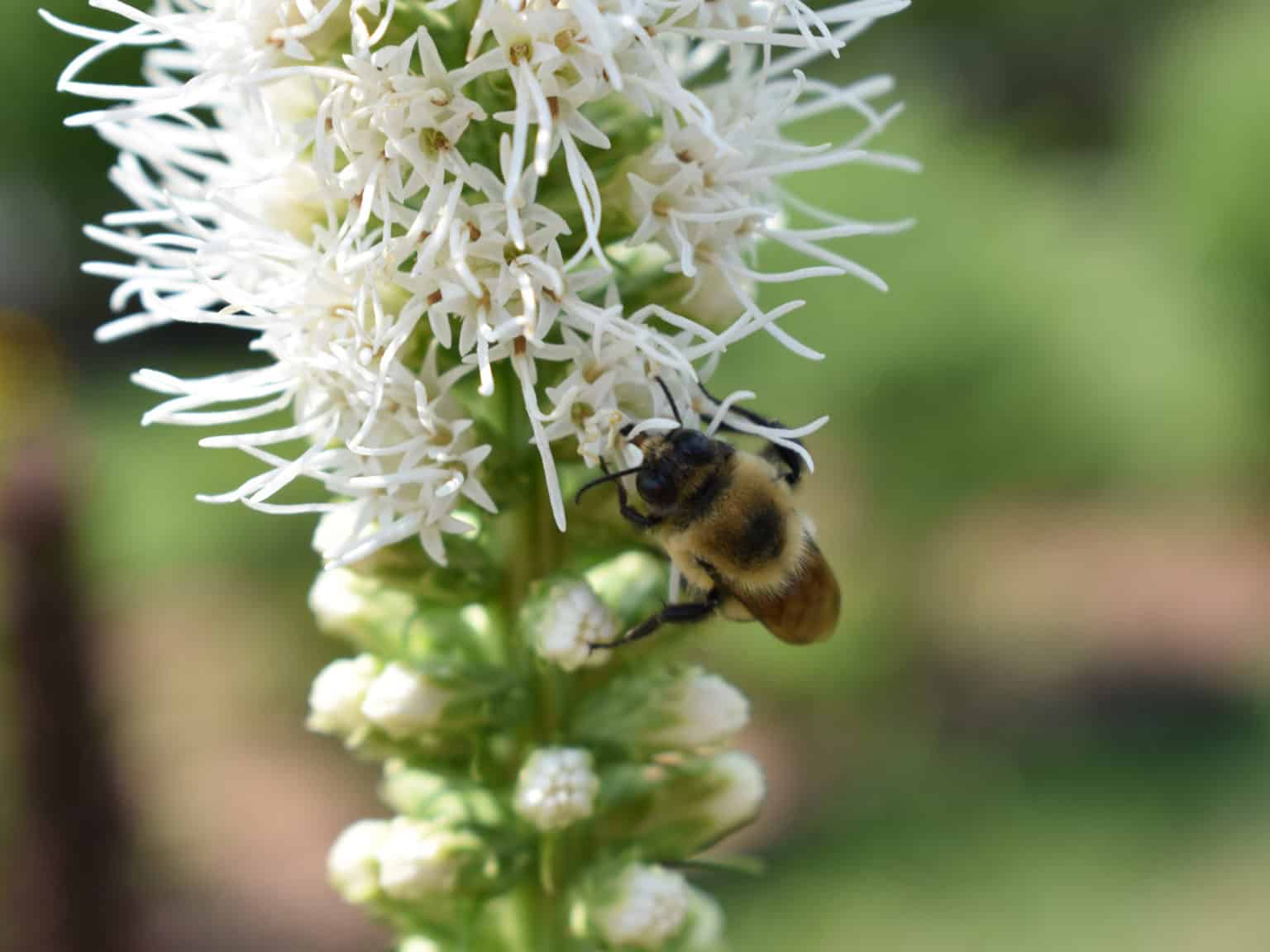 Home Page | Willowsford Conservancy & Farm
