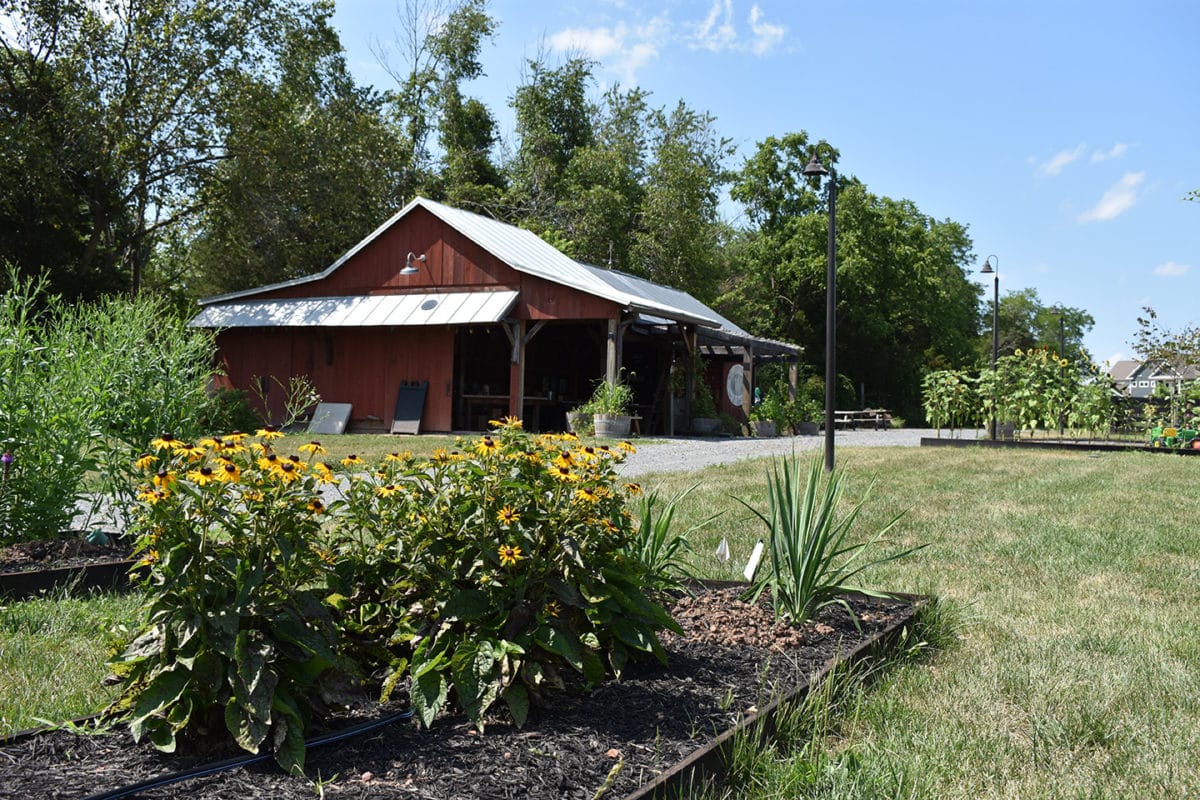 Field Notes | Willowsford Conservancy & Farm
