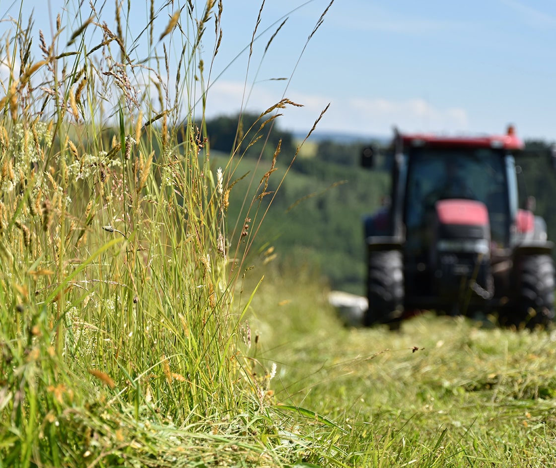 Home Page | Willowsford Conservancy & Farm