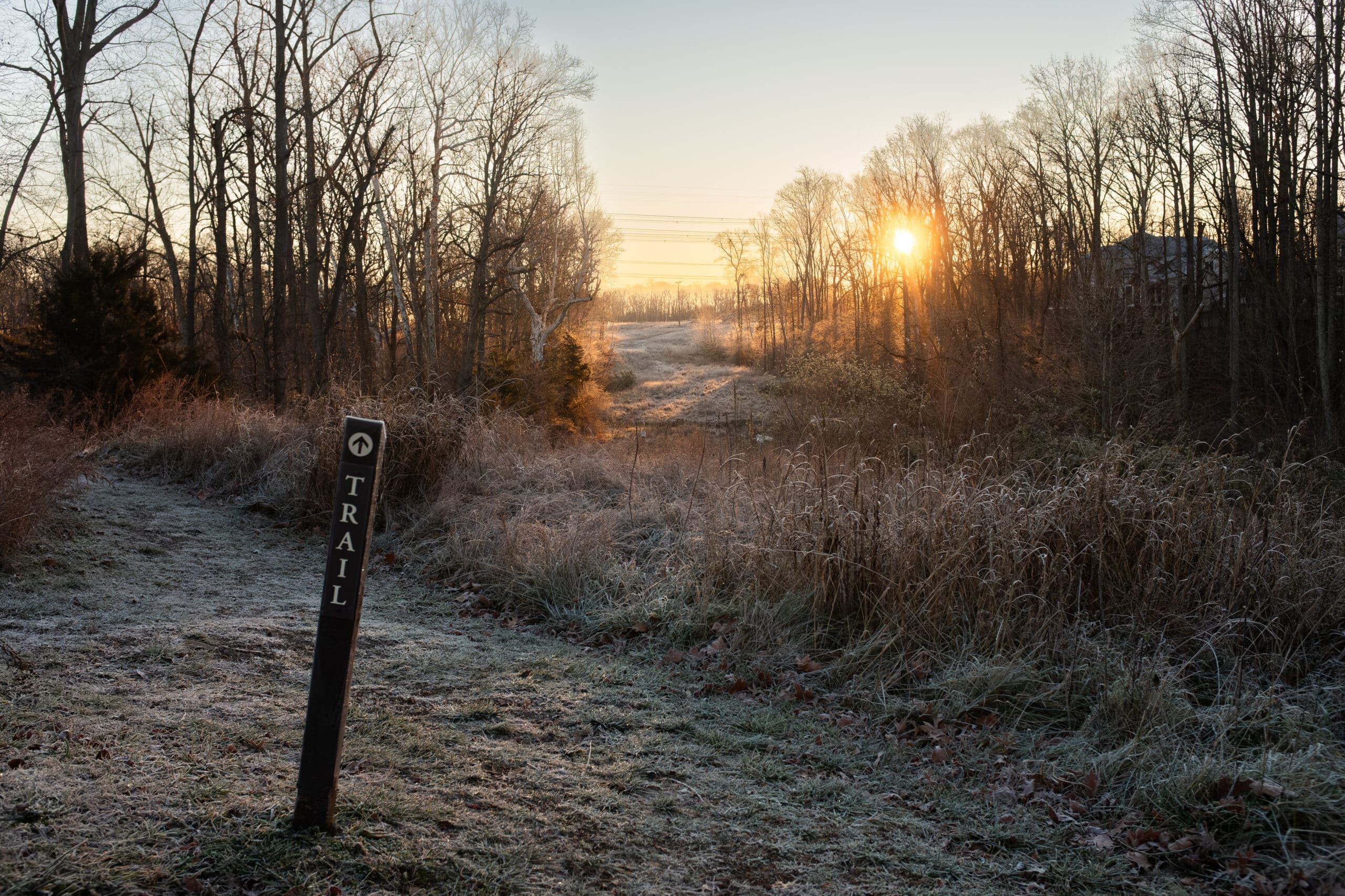 Board of Trustees Application | Willowsford Conservancy & Farm