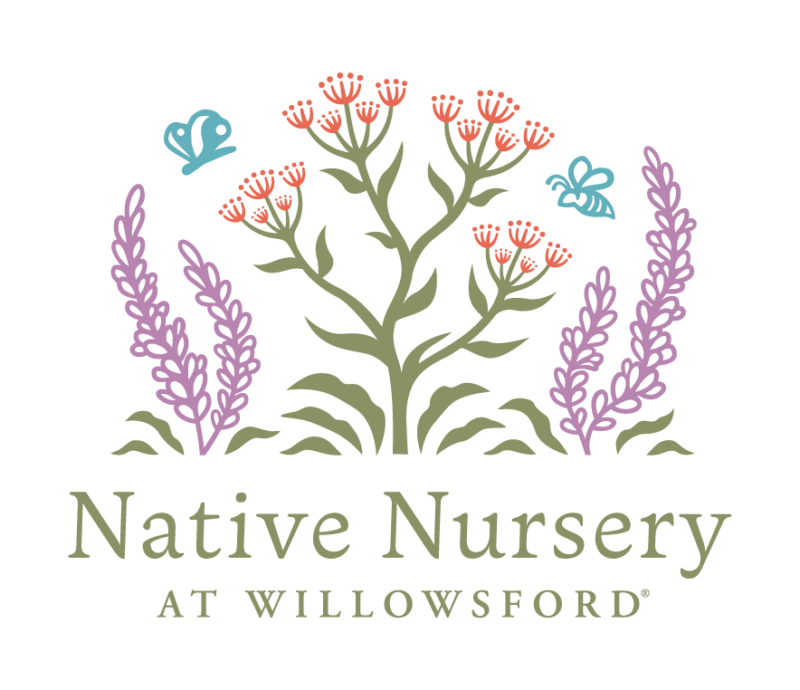 Buy Native Plants | Willowsford Conservancy & Farm